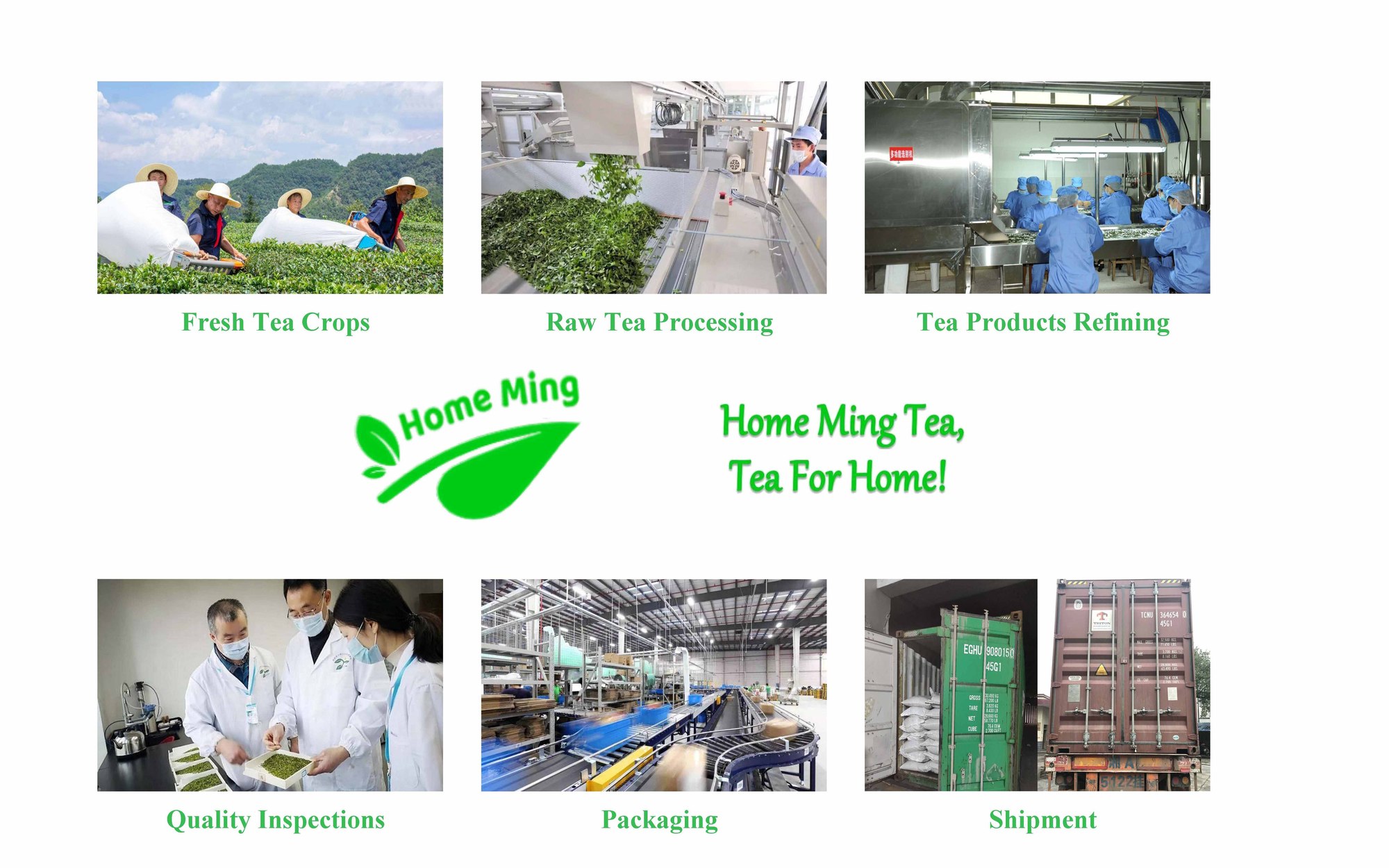 Home Ming Tea - Home Ming Tea
